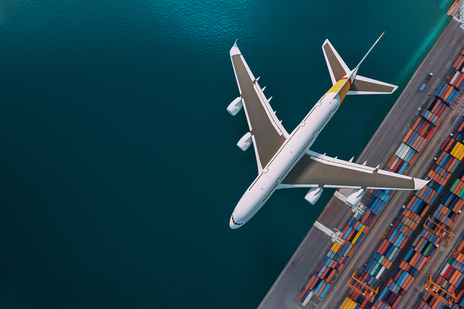 Sailing Smoothly with Blue Dolphin: Your Trusted Maritime Shipping ...