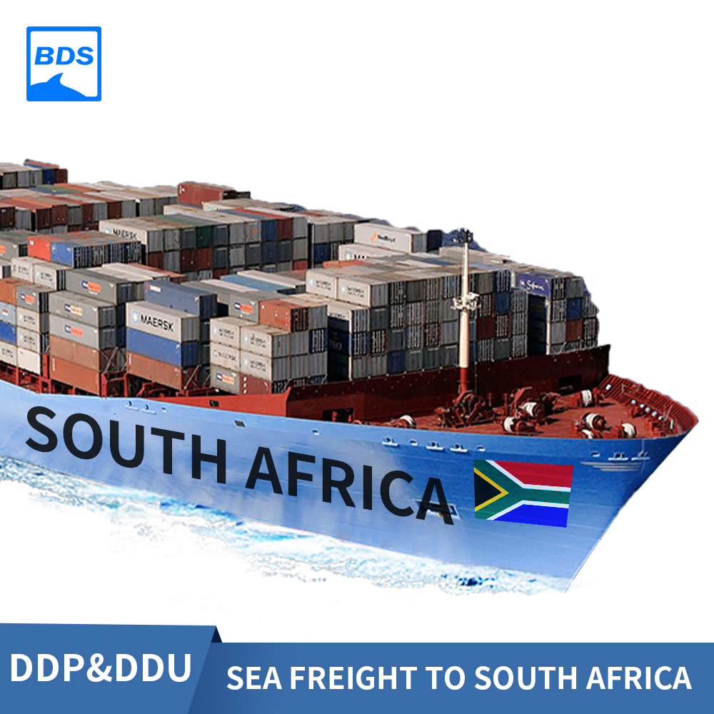Sea freight Freight Forwarding From China to South Africa - Blue ...