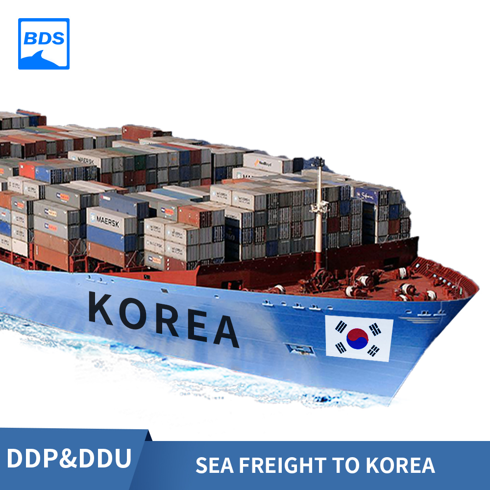 Sea freight Freight Forwarding From China to Korea - Blue Dolphin ...