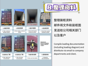 Container Loading Process – 8 Steps - Blue Dolphin (shenzhen) Supply ...